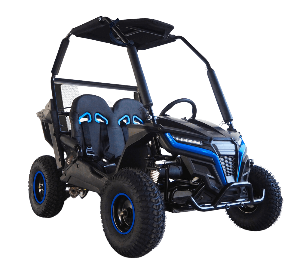 Quadzilla TWISTER BUGGY NEW