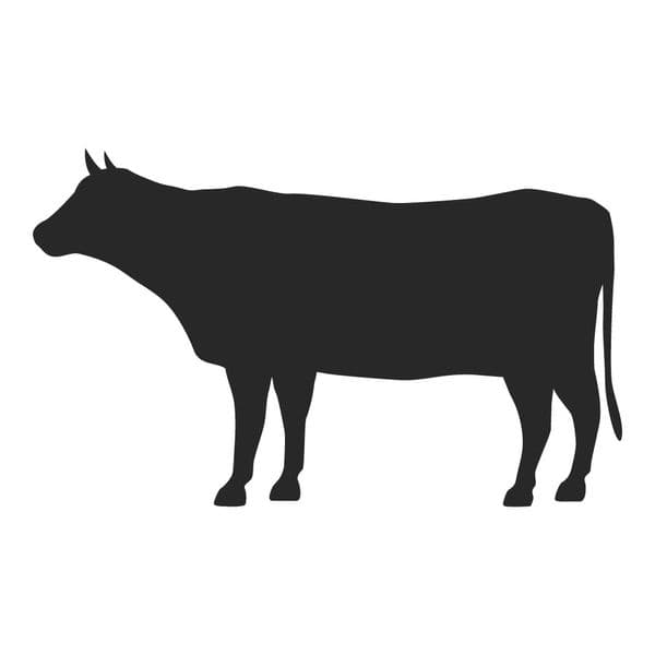 Organic Offal Selection Pack