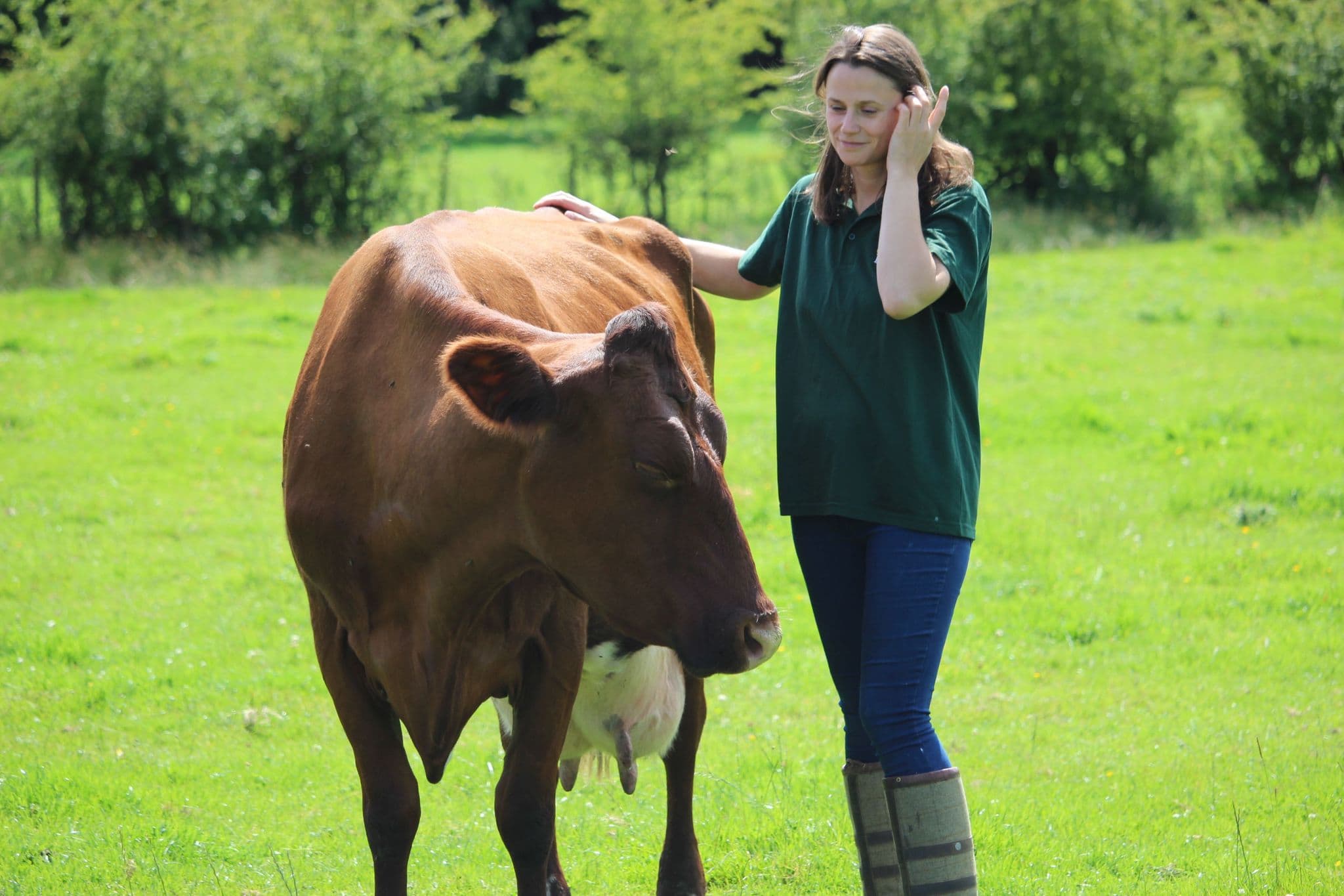 Gazegill Organics Our Cows