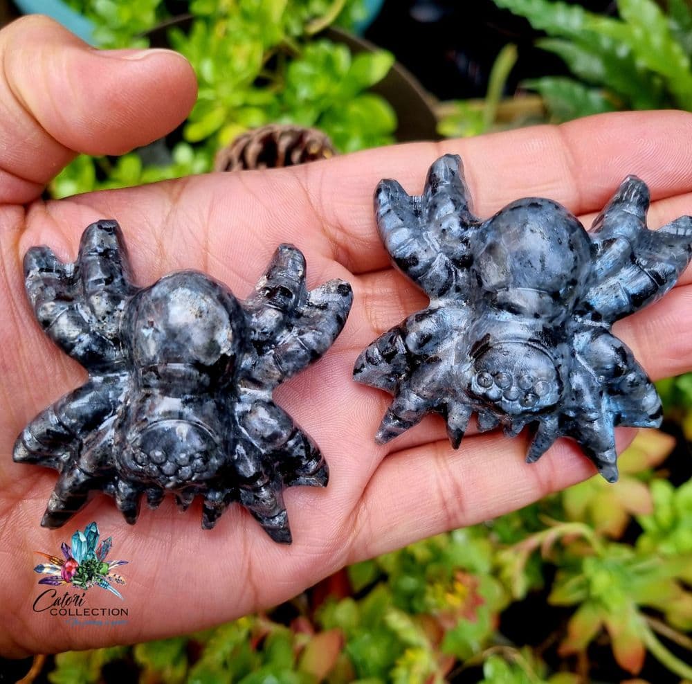 Black Labradorite Spider Carving