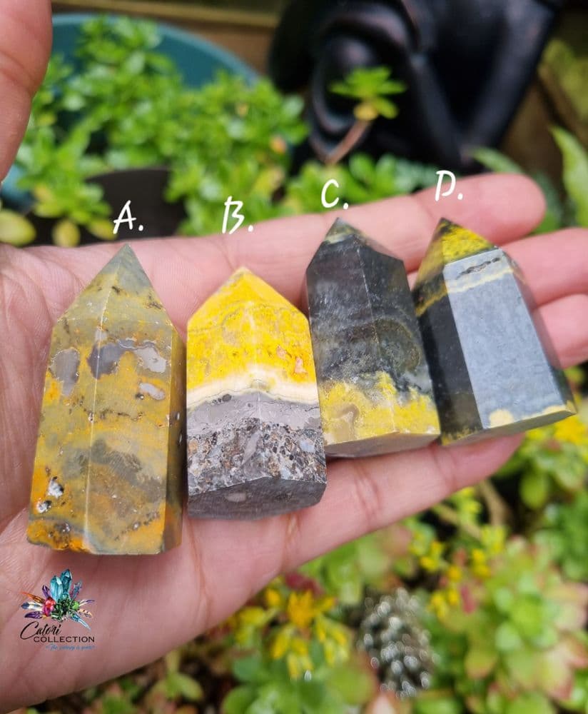 Bumblebee Jasper Crystal Points