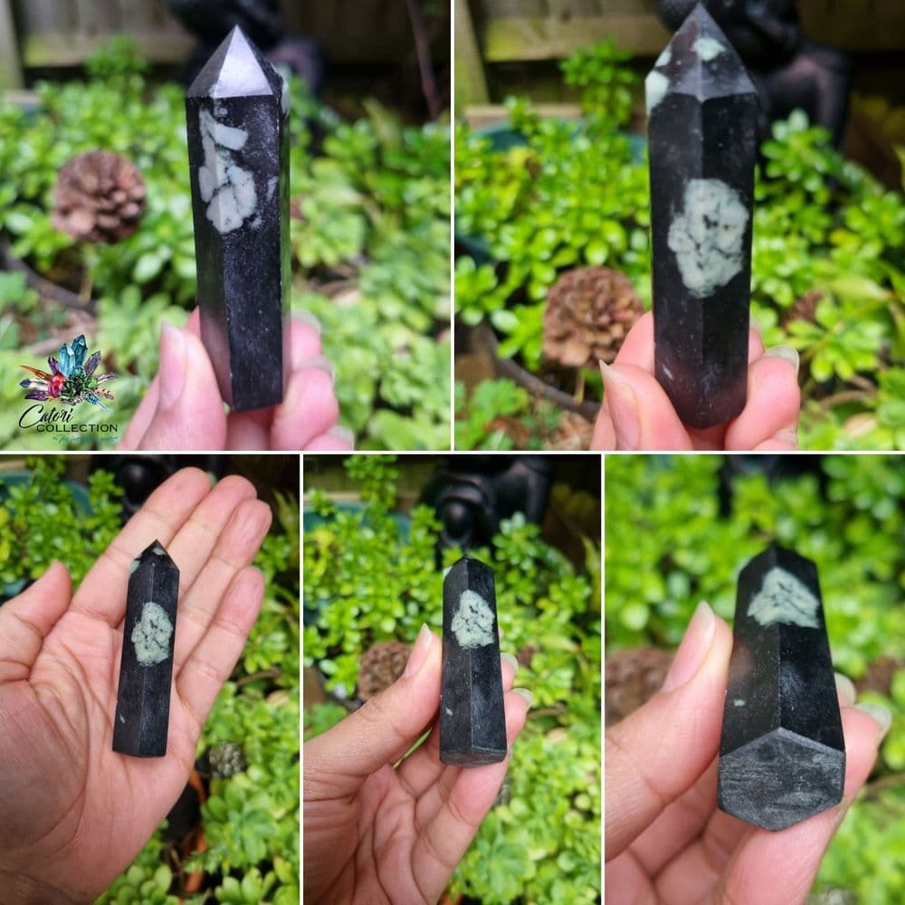 Chinese Writing Stone Chrysanthemum Point