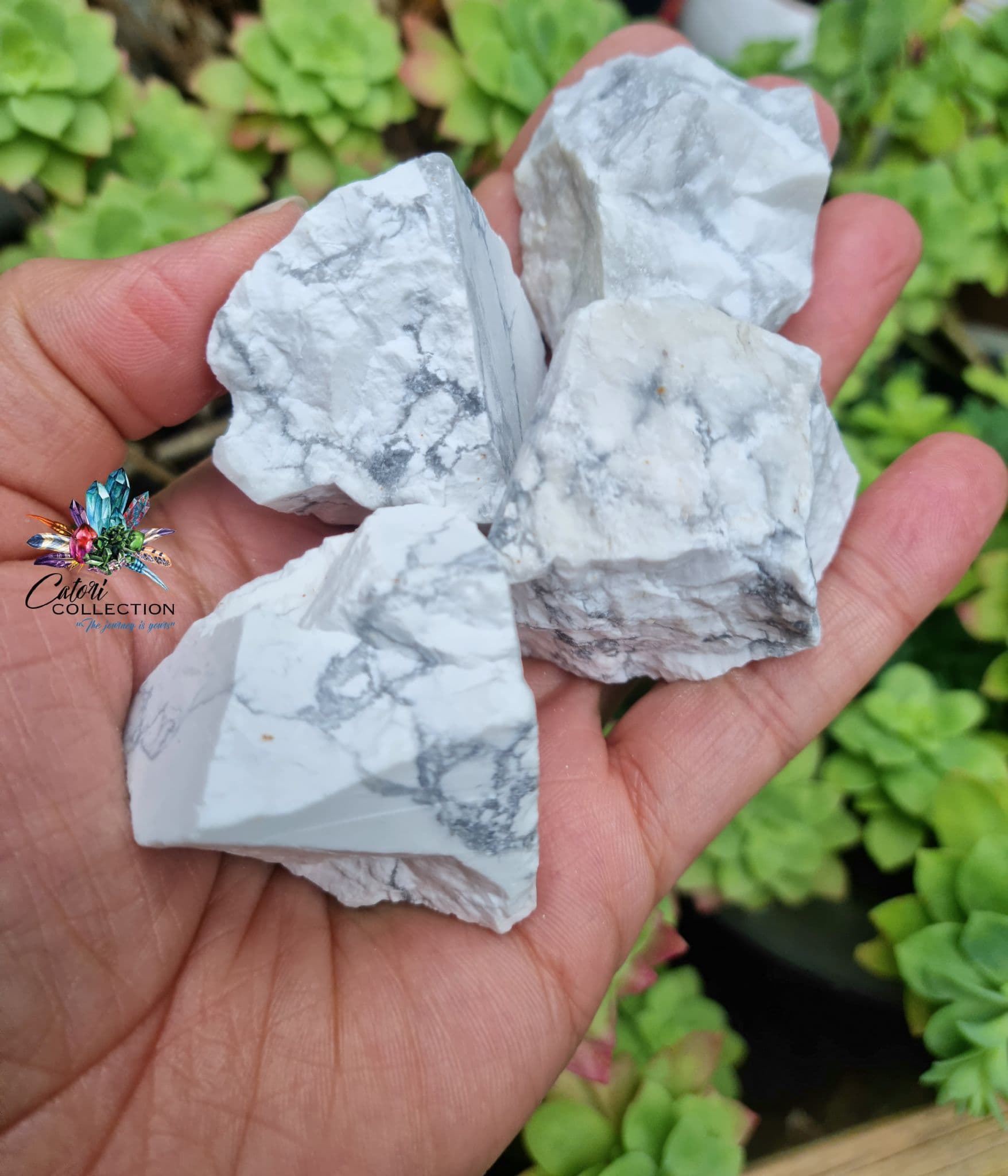Rough White Howlite Pieces