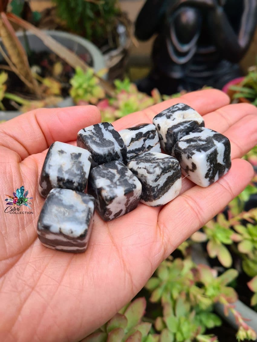 Zebra Jasper Tumble Stone