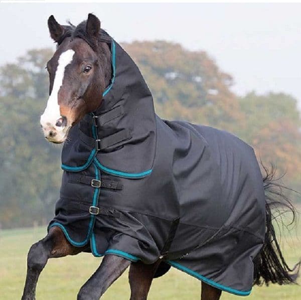 Shires Tempest Plus Turnout 300g Combo - Black & Teal