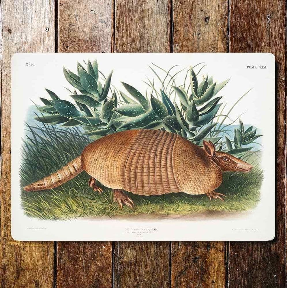 Armadillo Cactus Portrait Metal Sign Plaque