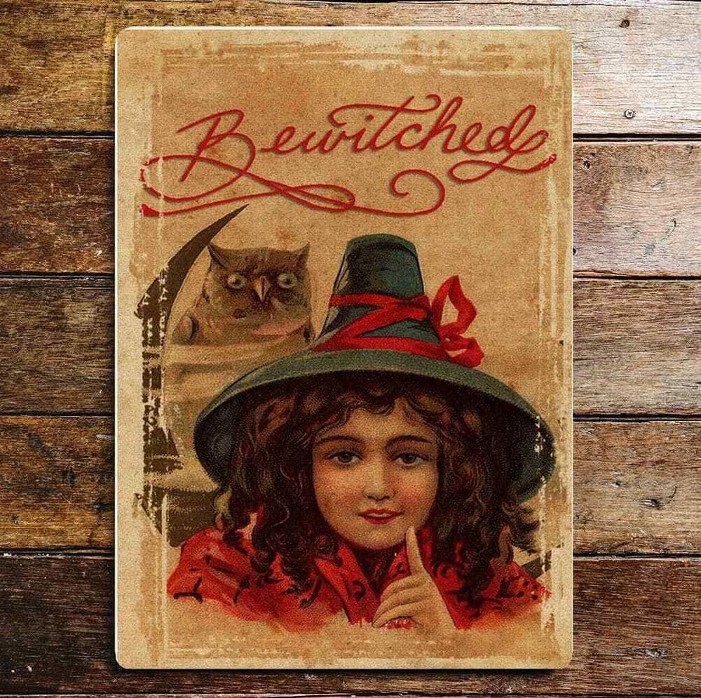 Bewitched Girl Owl Witches Hat Metal Sign Plaque