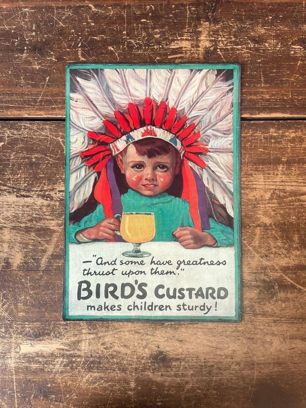 Birds Custard Makes Children Sturdy Metal Sign