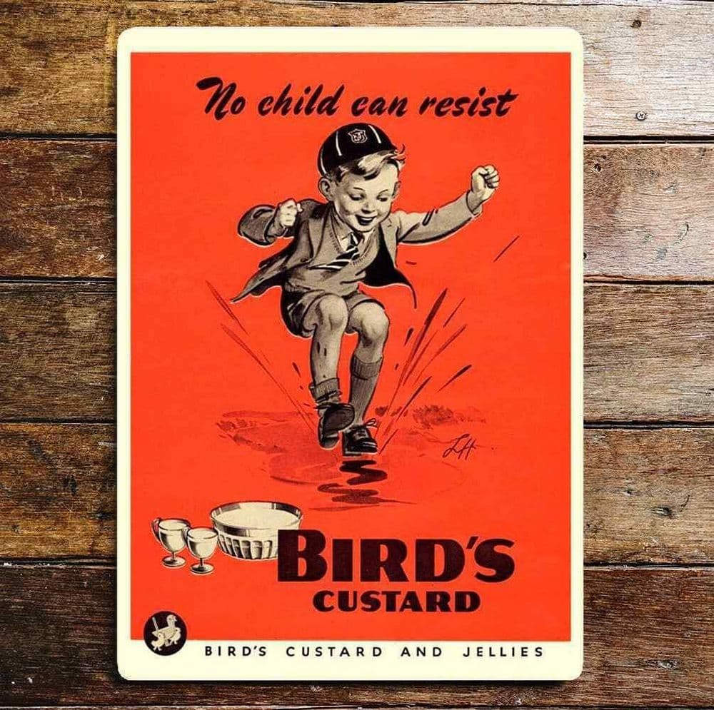 Birds Custard No Child Can Resist Puddle - Metal Sign