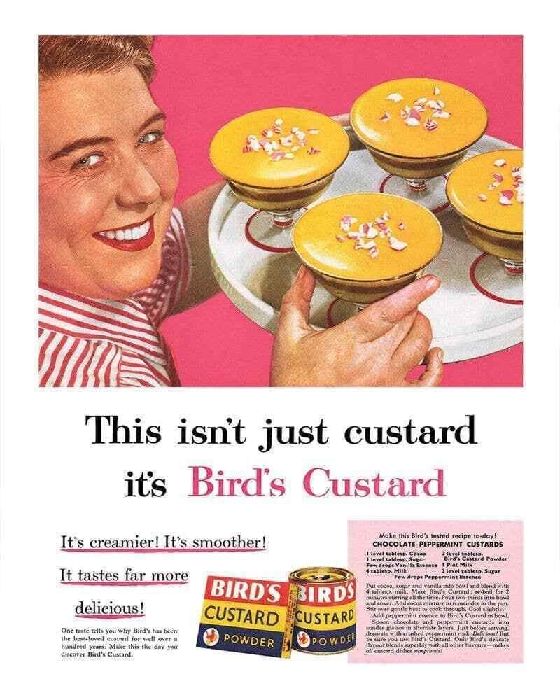 Birds Custard This Isn t Just Custard Metal Sign