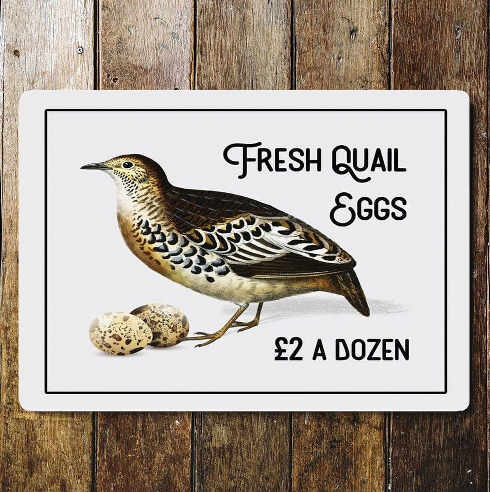 Fresh Quail Eggs Tin Sign Metal Sign Plaque