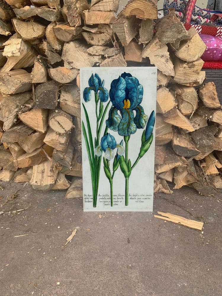 Iris Flower - Metal Wall Sign