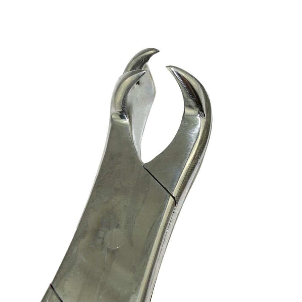 3 Root Molar Forceps nearside