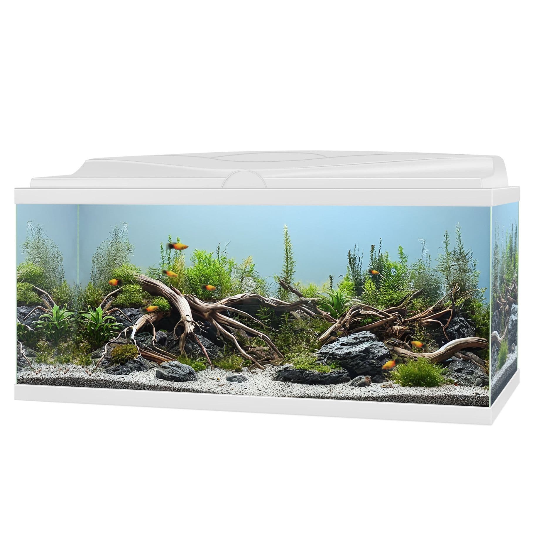 CIANO Aqua 85 LED Aquarium