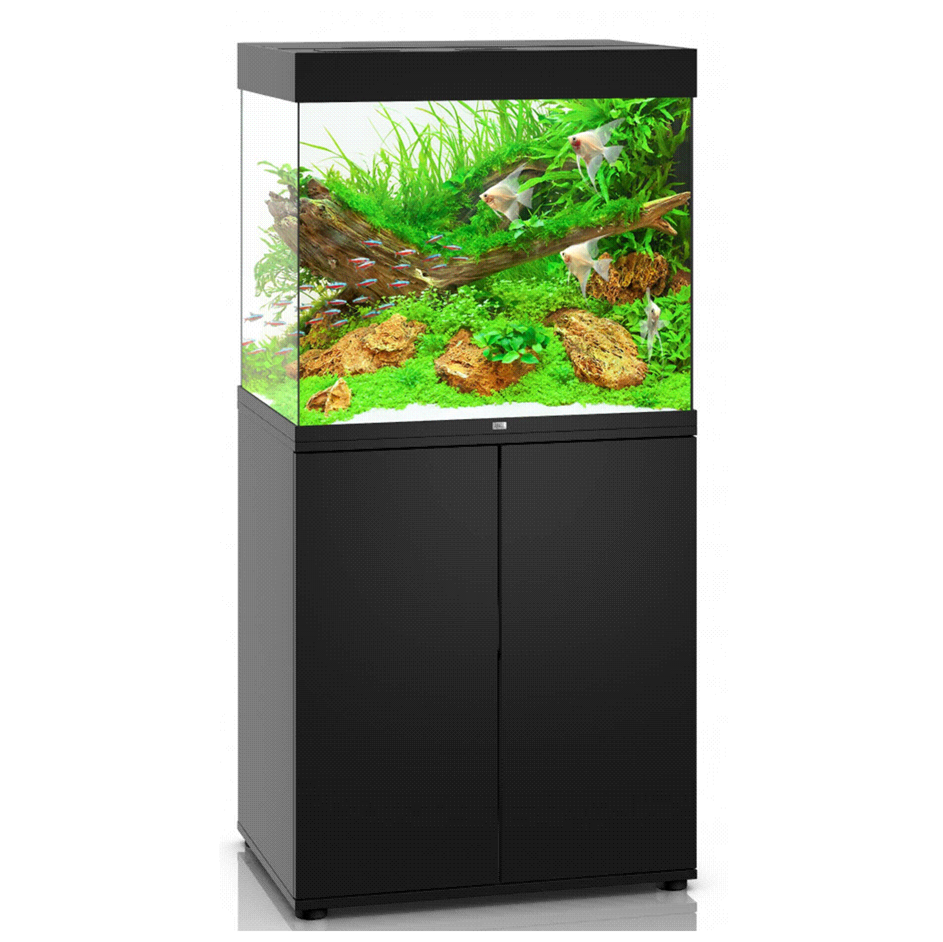 JUWEL Lido 200 LED Aquarium