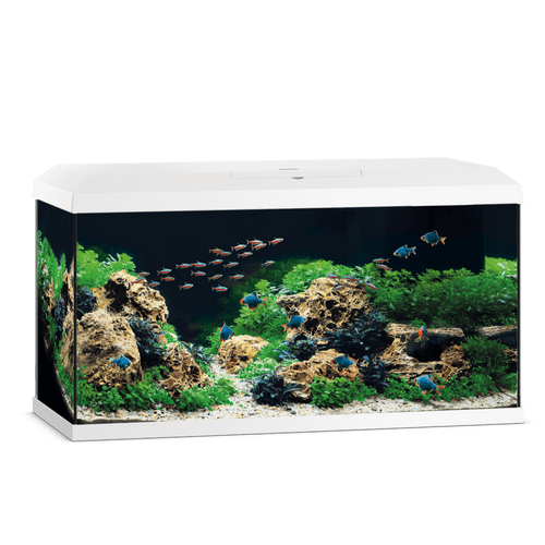 JUWEL Primo 110 LED 2 0 Aquarium