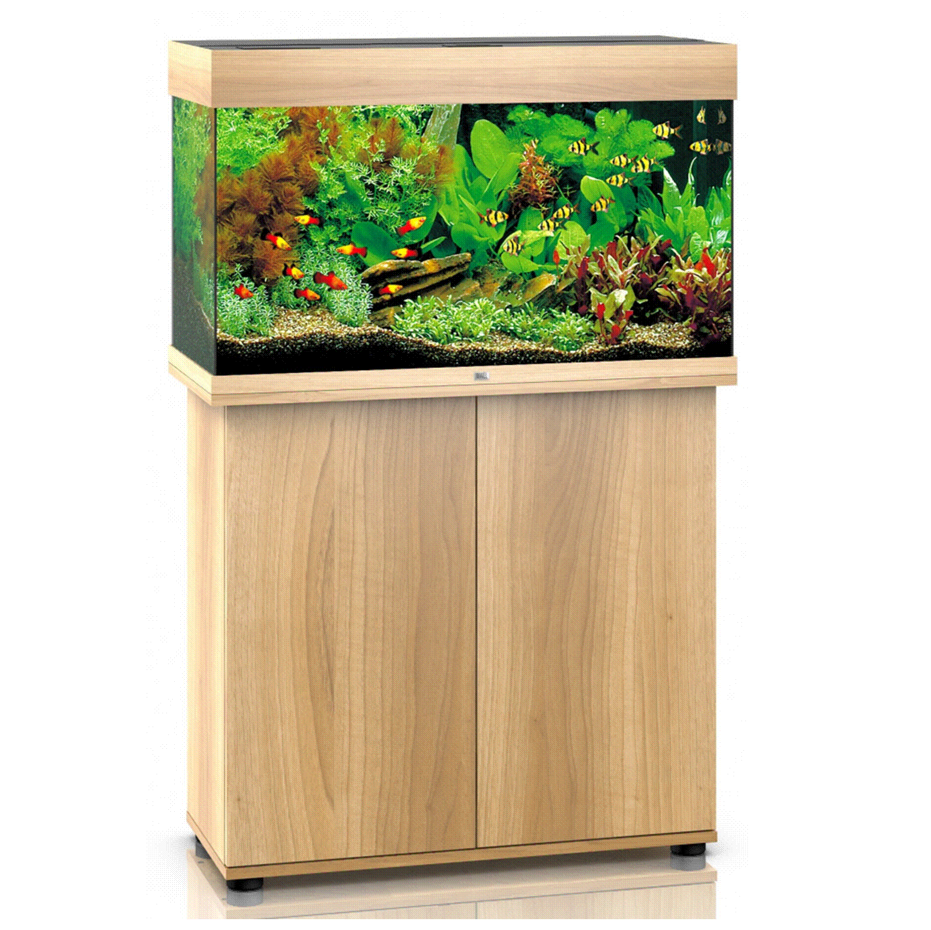 JUWEL Rio 125 LED Aquarium