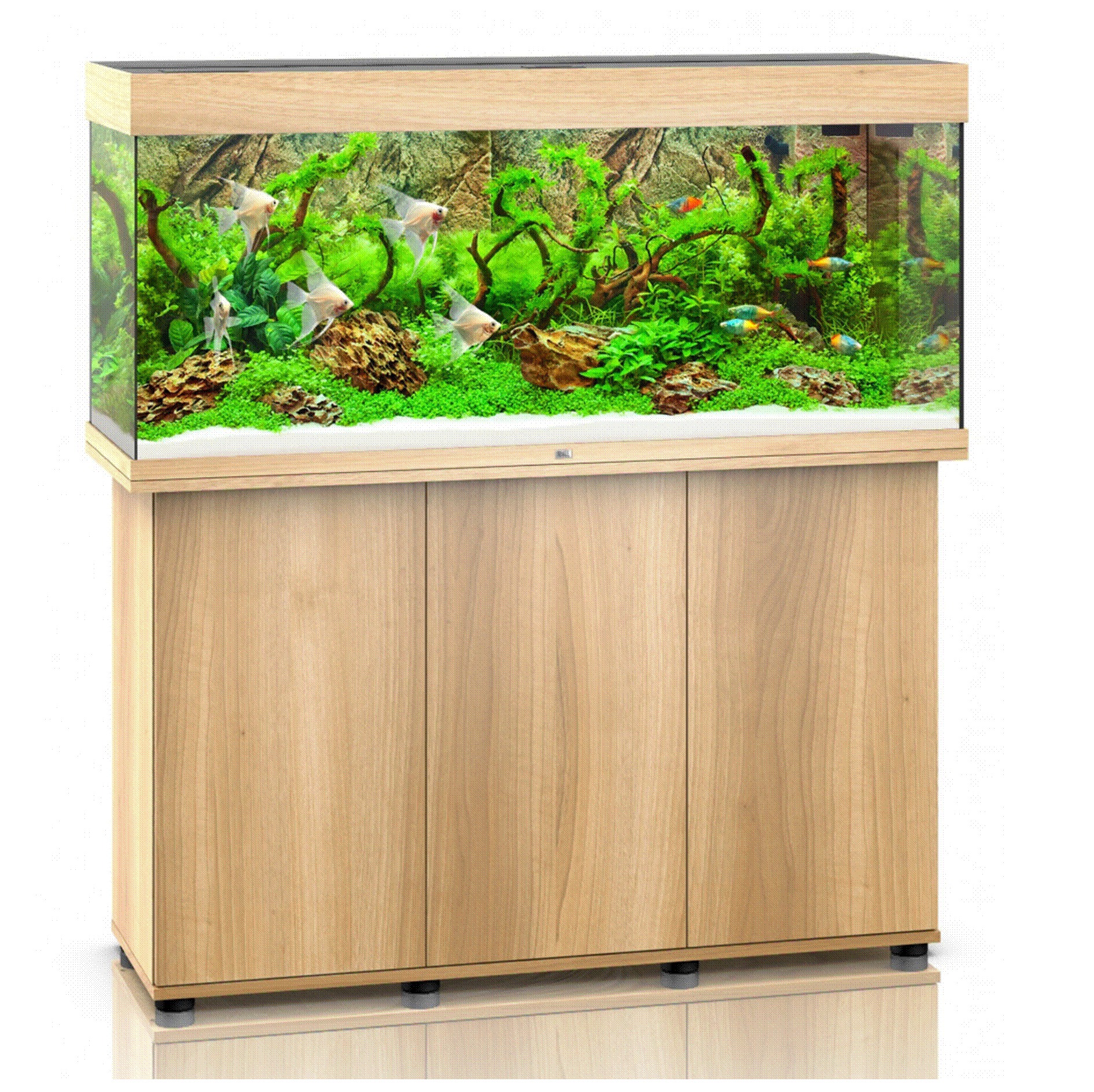 JUWEL Rio 240 LED Aquarium