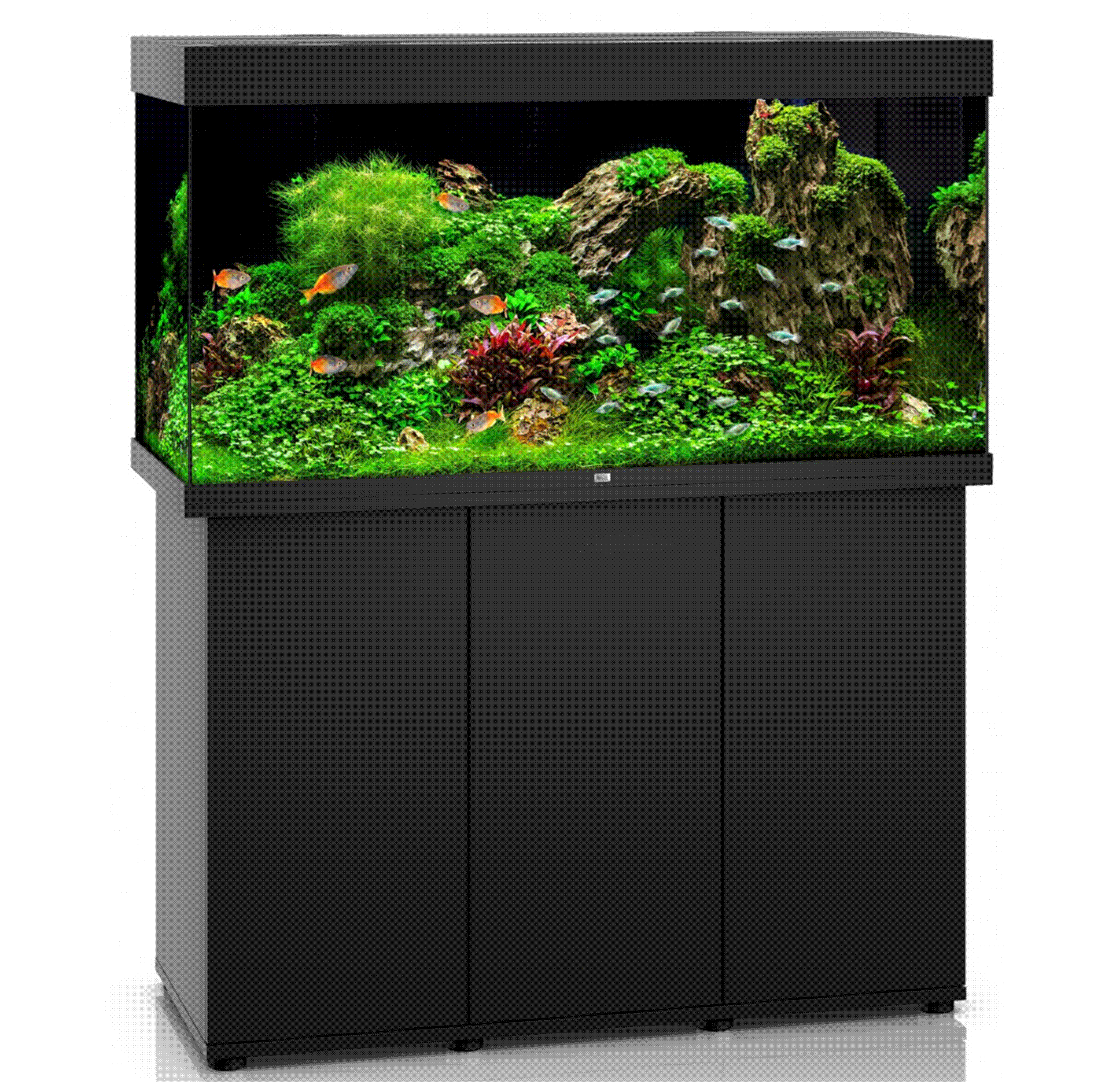 JUWEL Rio 350 LED Aquarium