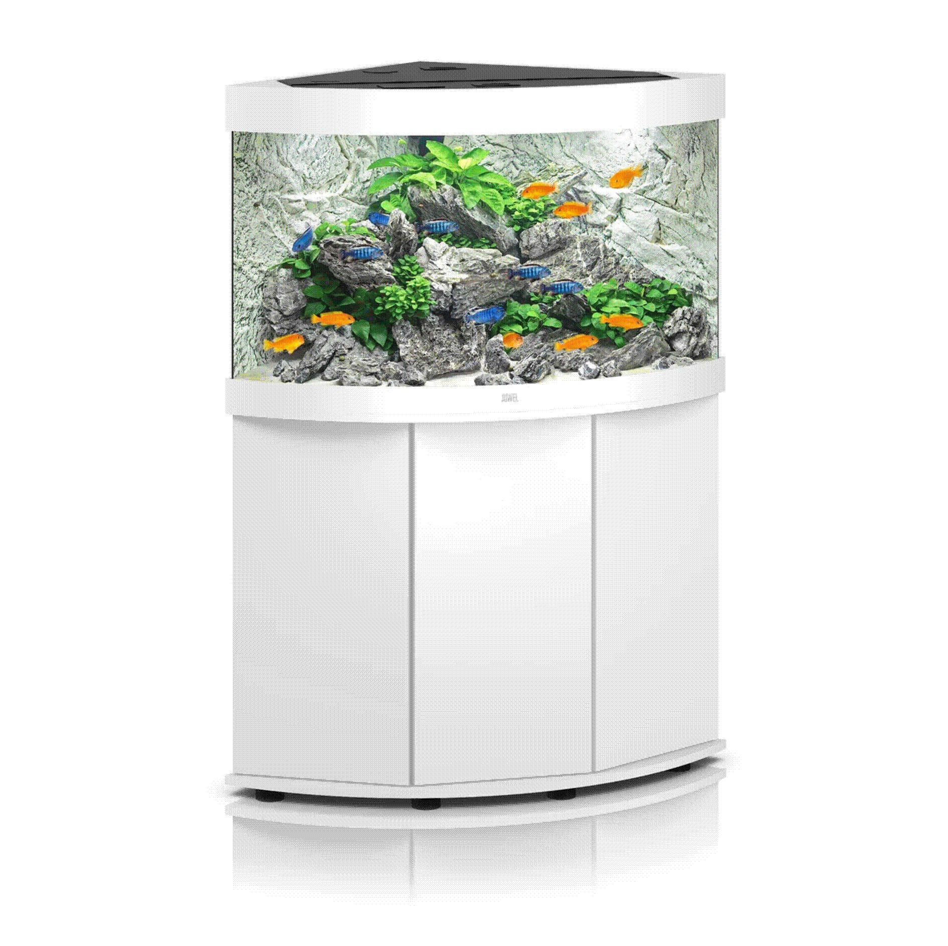 JUWEL Trigon 190 LED Aquarium