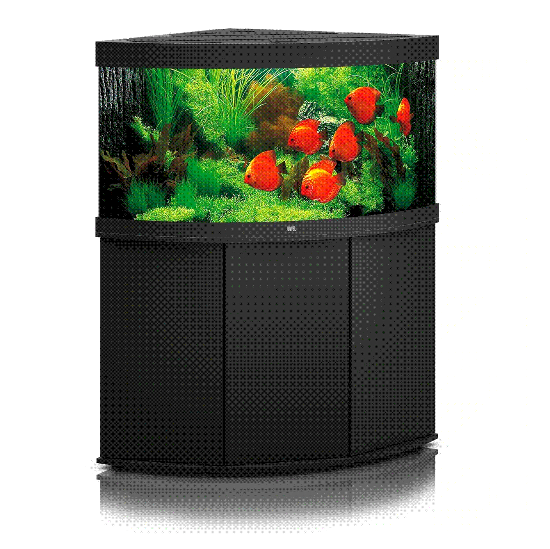 JUWEL Trigon 350 LED Aquarium