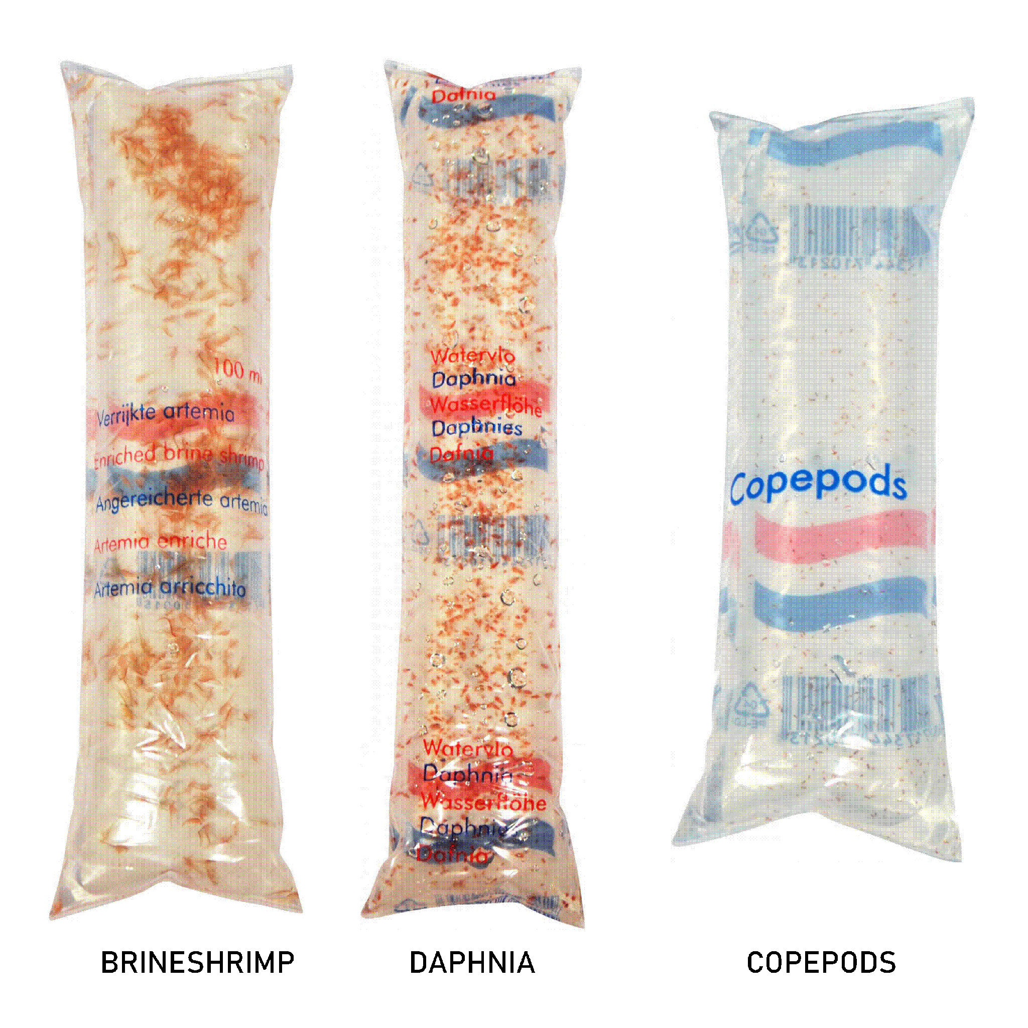 LIVE Fish food