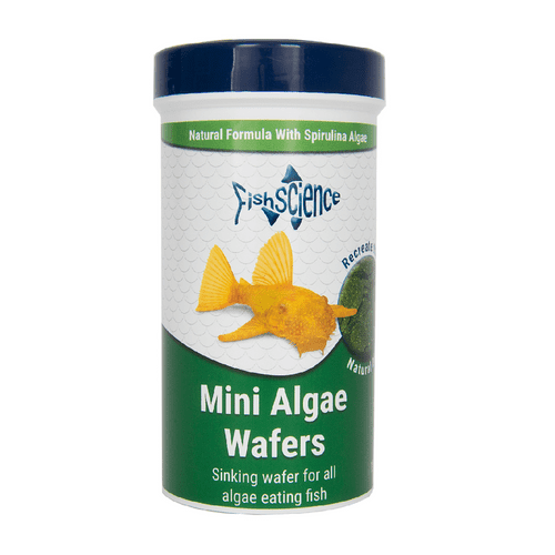 Mini Algae Wafers FISH SCIENCE