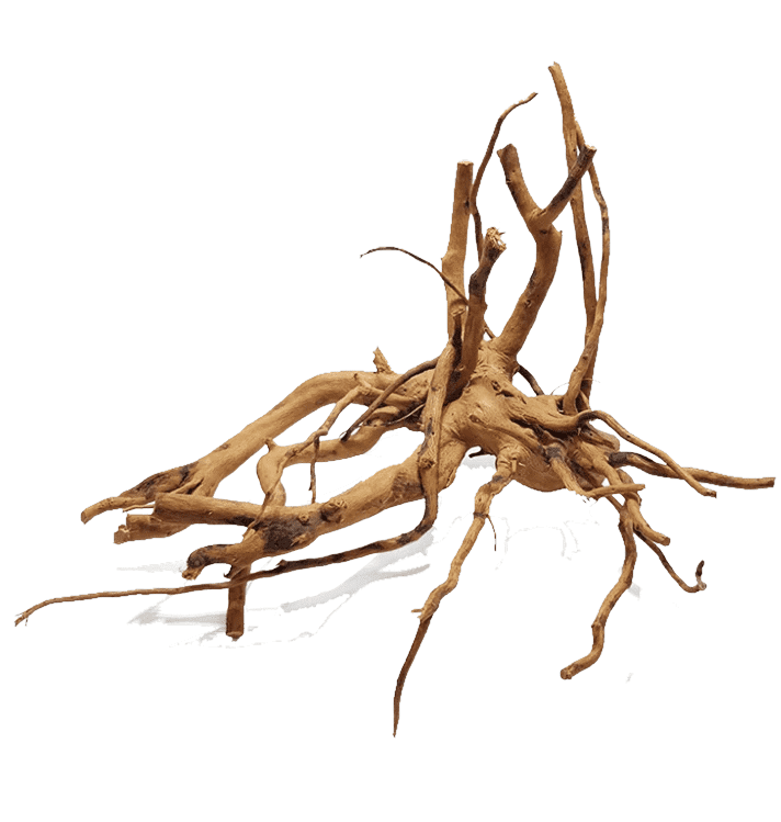 Red Moor Wood Natural Driftwood