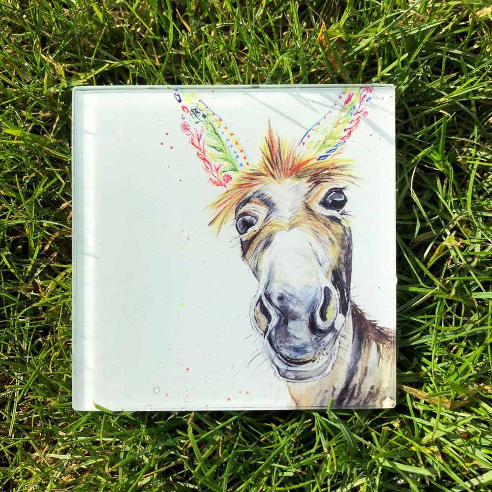 DYLAN THE DONKEY ECO-COASTER