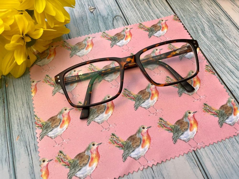 ROBBIE THE ROBIN LENS CLOTH