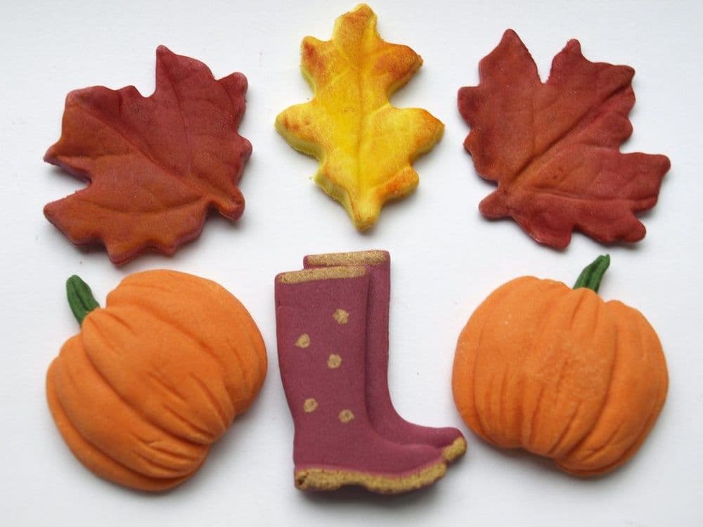 12x Edible Autumn Leaves Pumpkins Wellies Fondant Cupcake Toppers ...