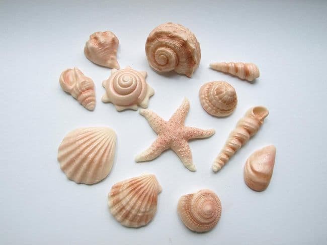 24x Handmade Edible Sea Shell & Starfish Cake Toppers Rainbow Cake ...