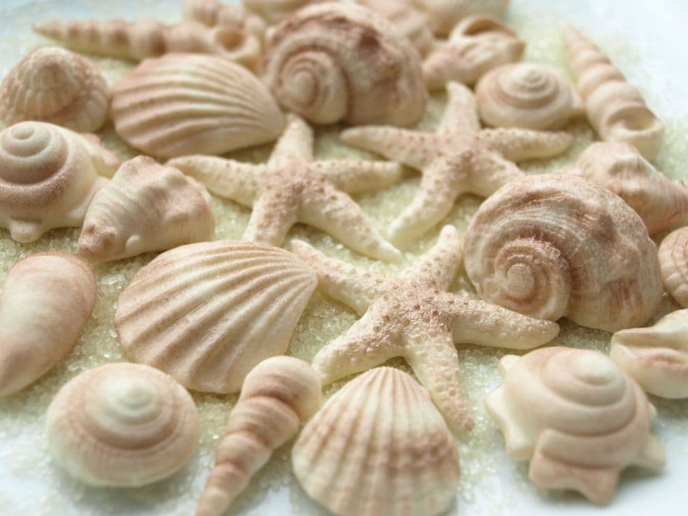 24x Handmade Edible Sea Shell & Starfish Cake Toppers Rainbow Cake ...