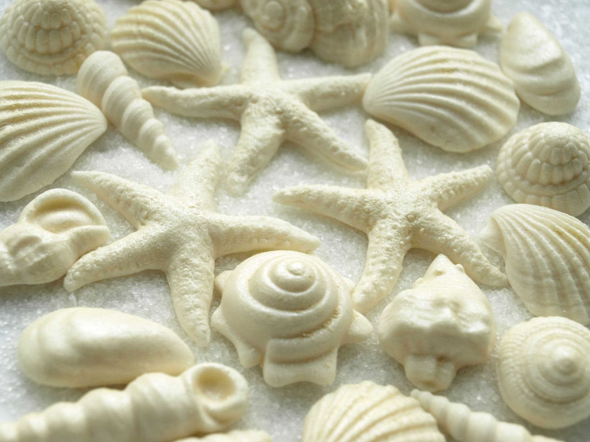 Nautical Fondant Sea Shells Cupcake Toppers Summer Beach Wedding Favors ...