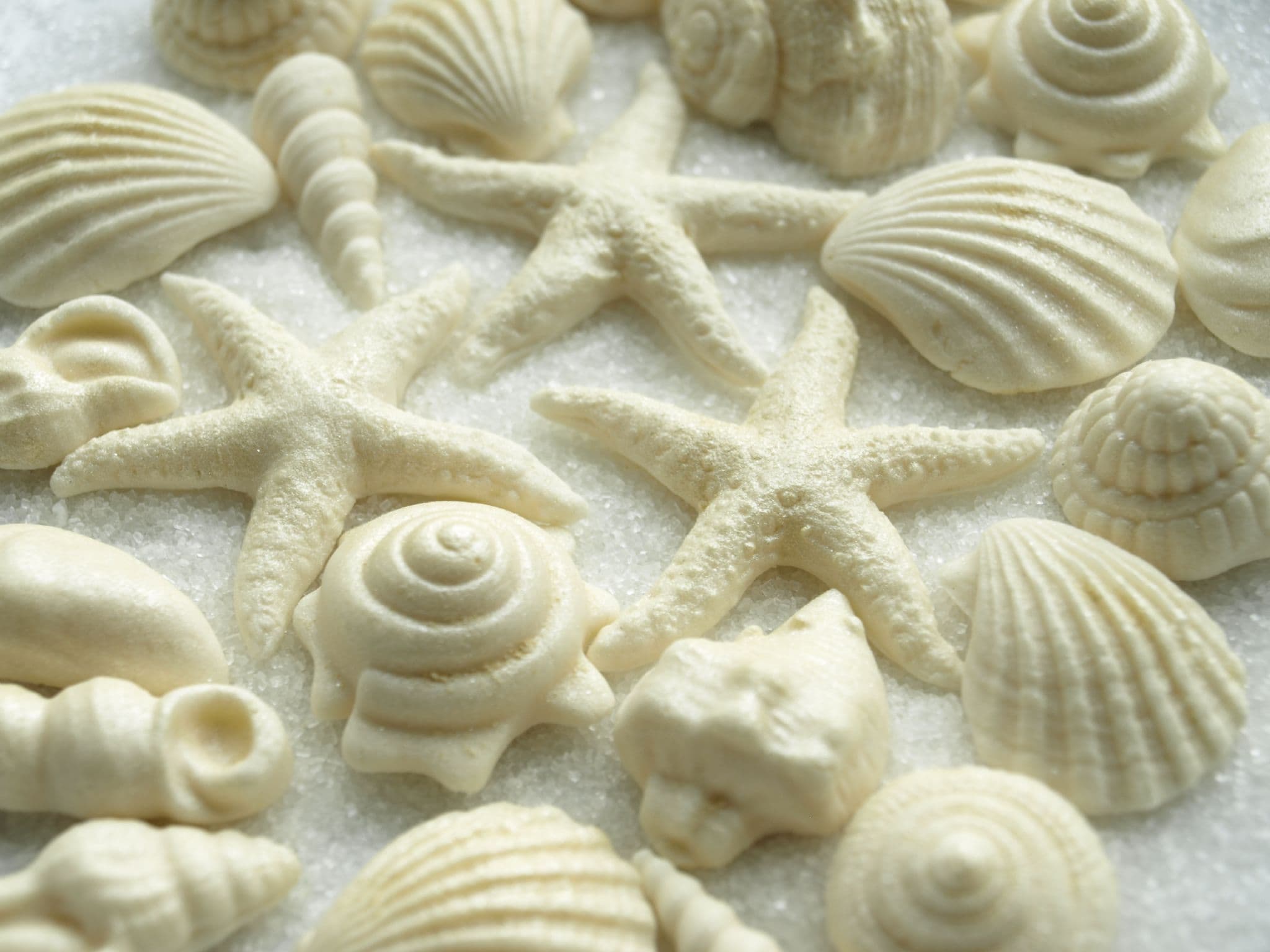 Nautical Fondant Sea Shells Cupcake Toppers Summer Beach Wedding Favors ...