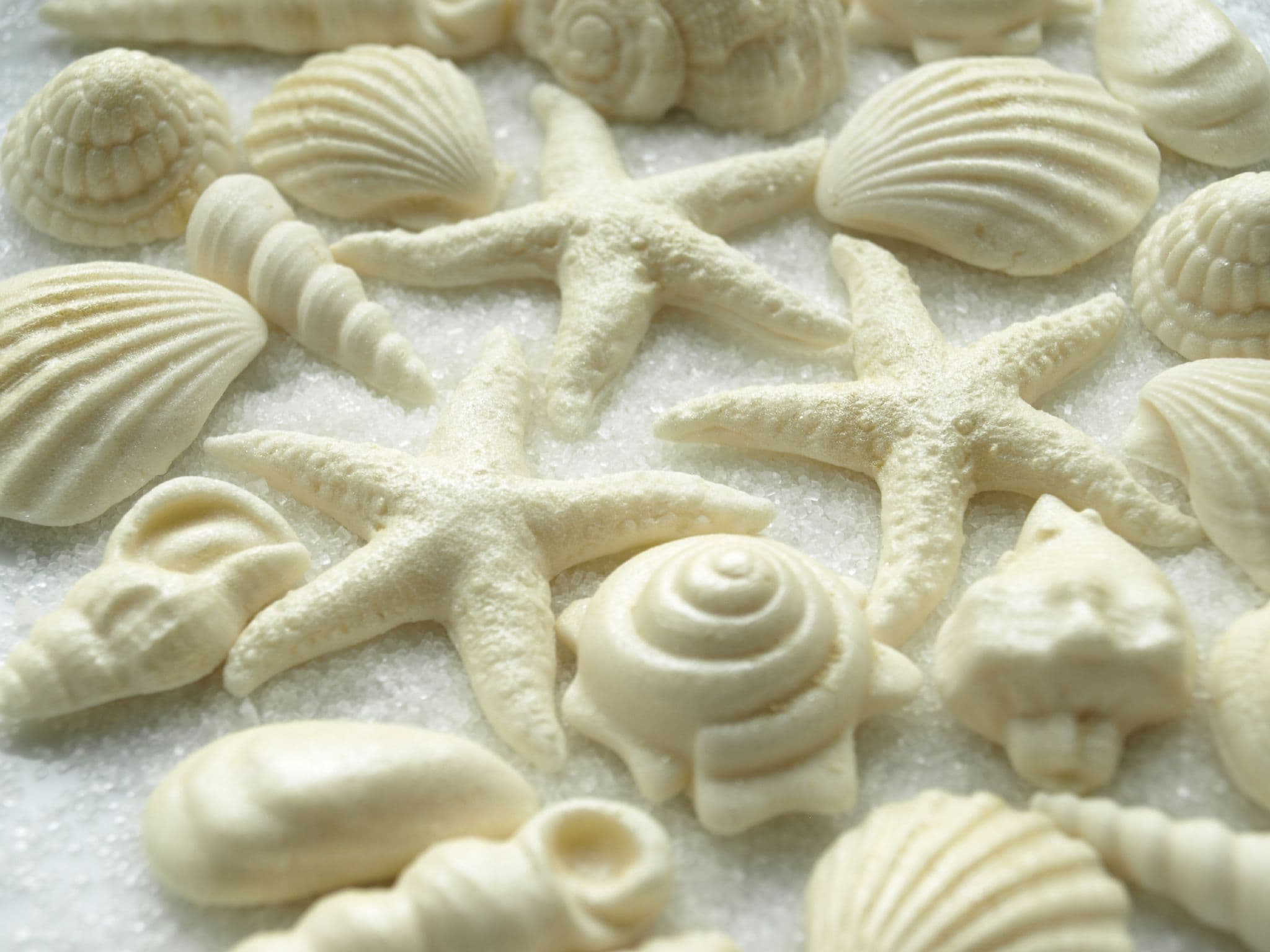 Nautical Fondant Sea Shells Cupcake Toppers Summer Beach Wedding Favors ...