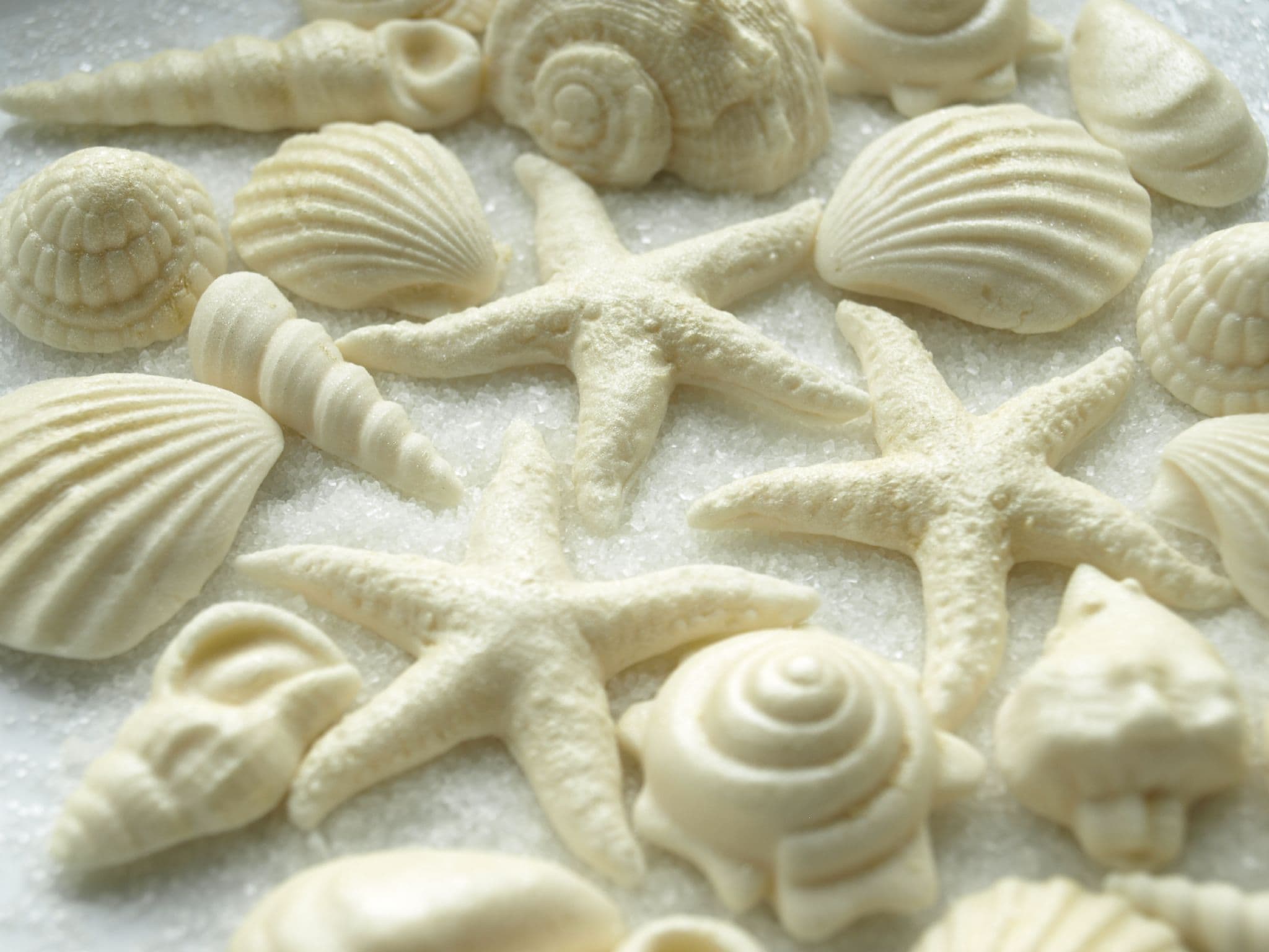 Nautical Fondant Sea Shells Cupcake Toppers Summer Beach Wedding Favors ...