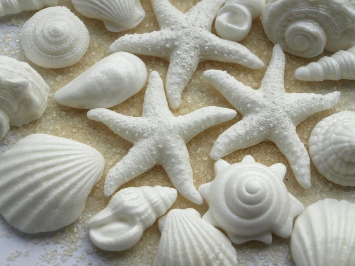 Nautical Fondant Sea Shells Cupcake Toppers Summer Beach Wedding Favors ...