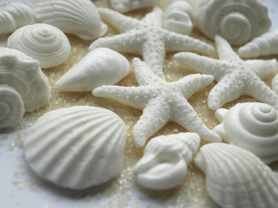 Nautical Fondant Sea Shells Cupcake Toppers Summer Beach Wedding Favors ...