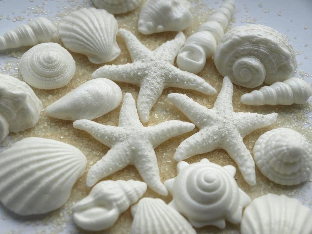 Nautical Fondant Sea Shells Cupcake Toppers Summer Beach Wedding Favors ...