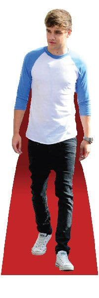One Direction Desk Stand Up Figure Liam