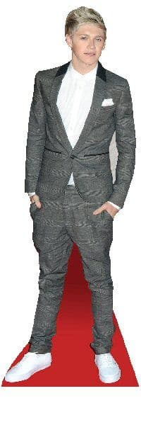 One Direction Desk Stand Up Figure Niall