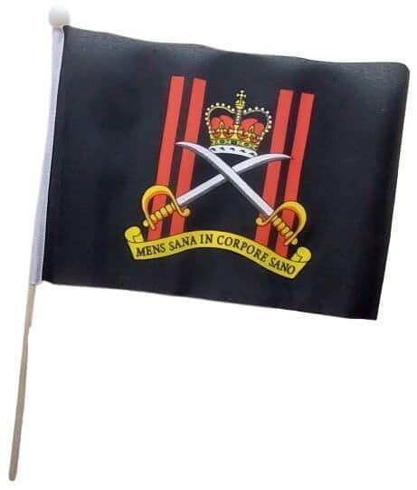 Buy Army Physical Training Corps Hand Flag | NWFlags