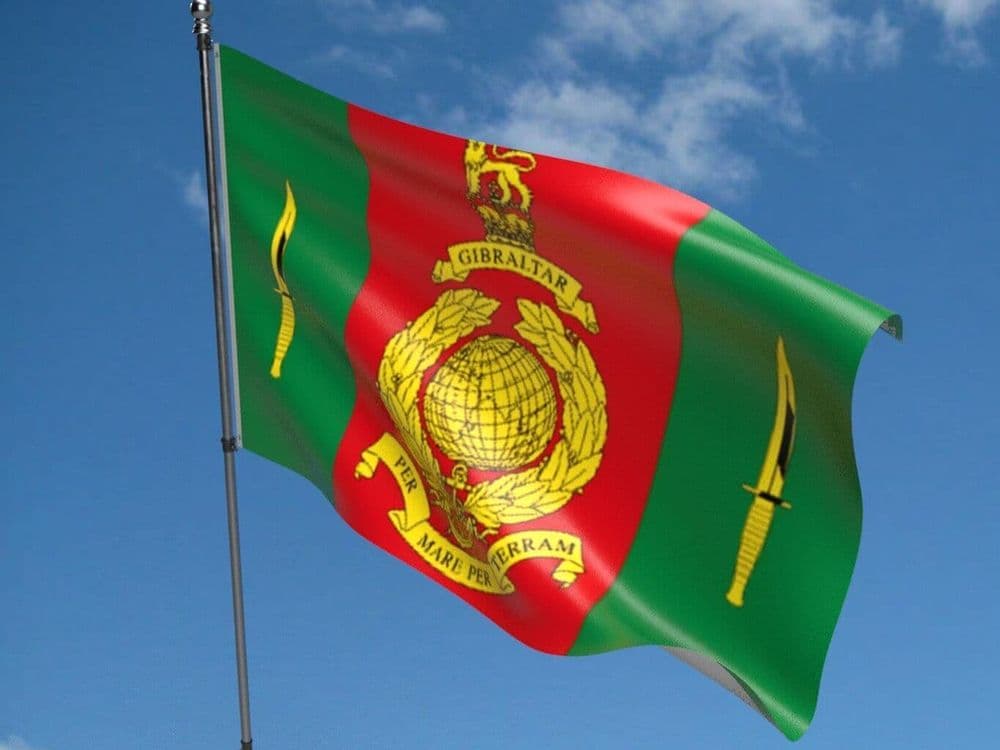 Buy Commando Training Centre Royal Marines Flag | NWFlags