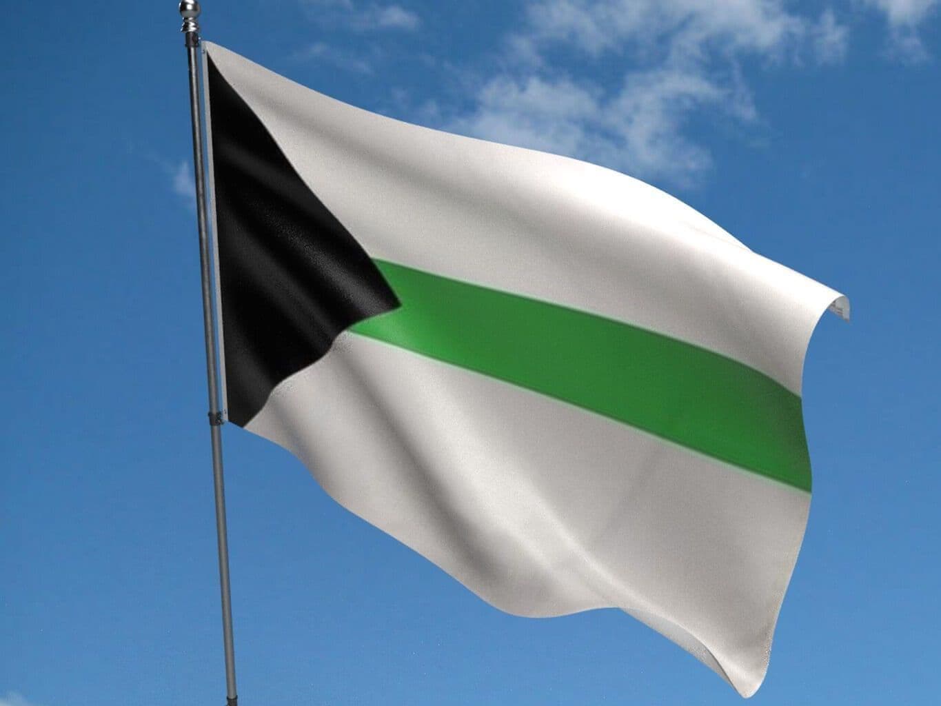 Demiromantic Flag | Buy Demiromantic Flag | NWFlags