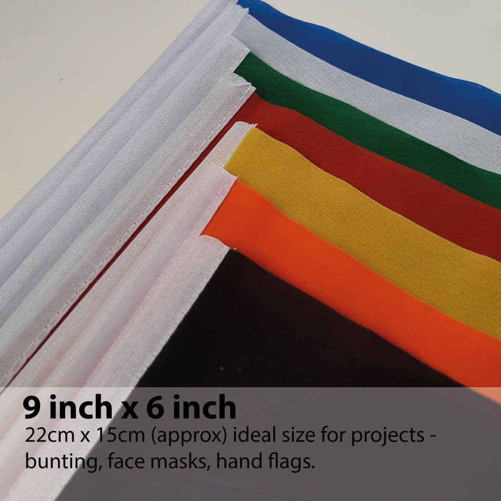 Devon Miniature Flag | Buy Devon Miniature Flag | NWFlags