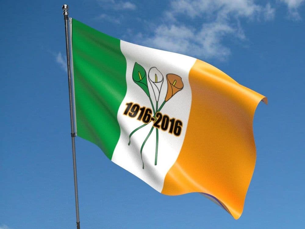 Easter Rising 100 Years Flag | Buy Easter Rising 100 Years Flag