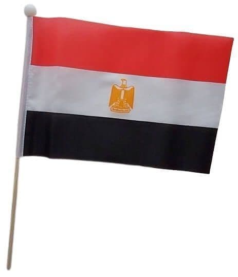Egypt Hand Flag | Buy Egypt Hand Flag | North West Flags