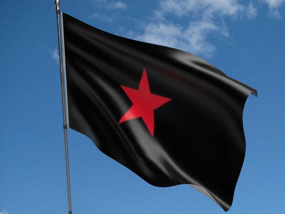 EZLN - Zapatista Army Flag | Buy EZLN - Zapatista Army Flag | NWFlags