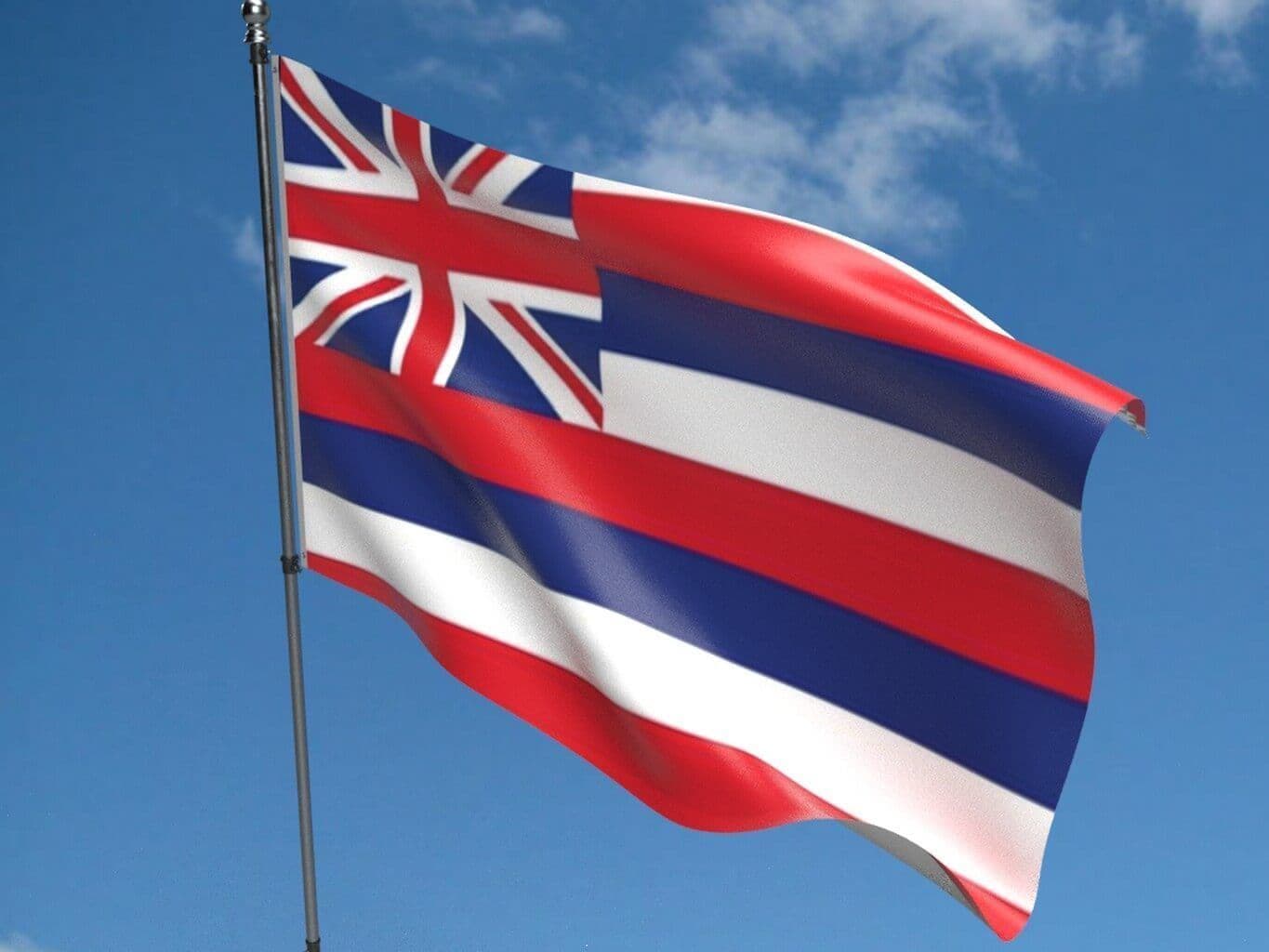 Hawaii State Flag | Buy Hawaii State Flag | NWFlags